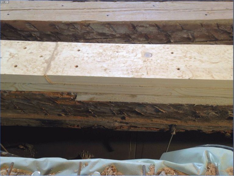 Clases de madera estructural – e-STRUC